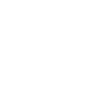 Enterprise DMS Platform Solutions | Dealer Management Software